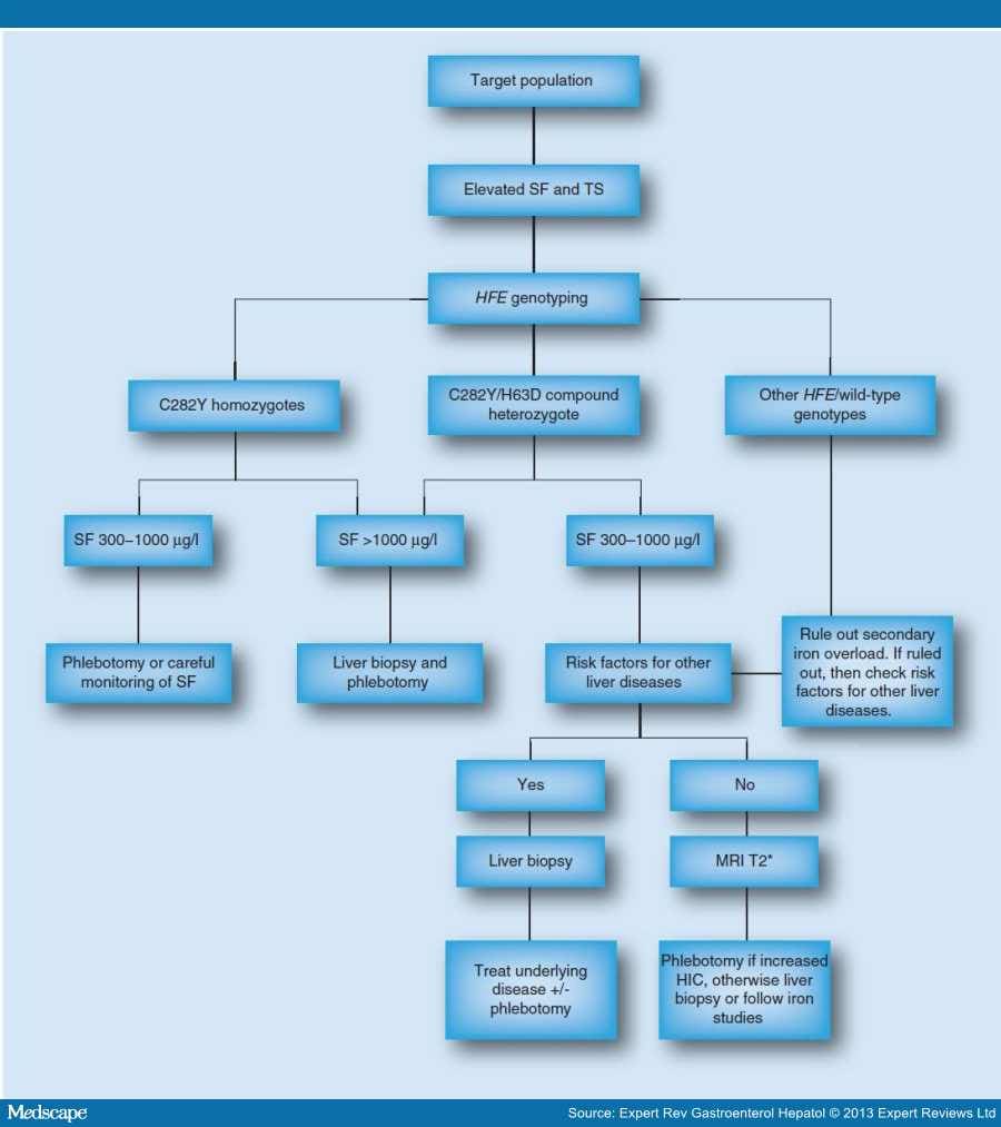 Diagnosis and Treatment of Hereditary Hemochromatosis - Page 9