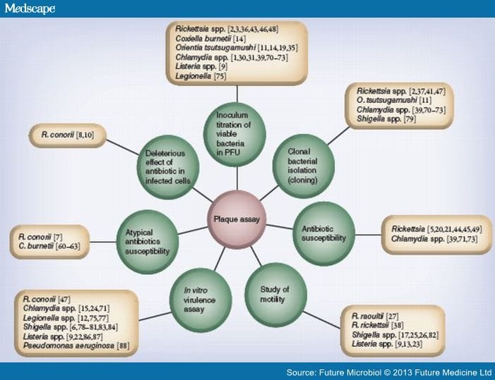 Plaque Assay for Testing the Antibiotic Susceptibility - Page 2