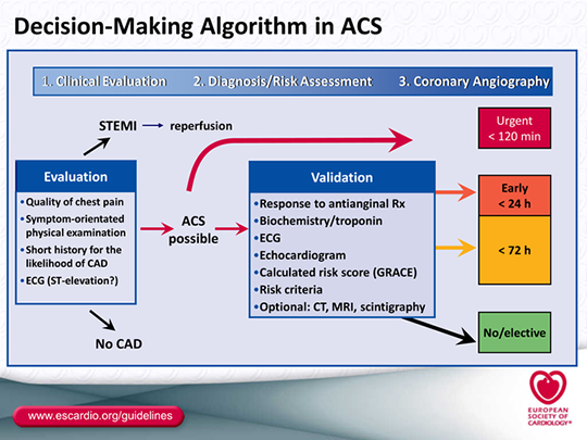 Clinical Crossroads in Thrombosis: Stroke Prevention in AF; Secondary ...