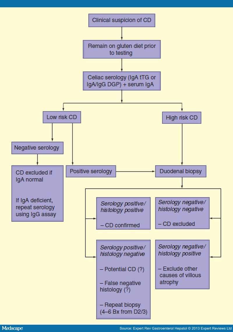 Diagnostic Dilemmas in Celiac Disease - Page 3