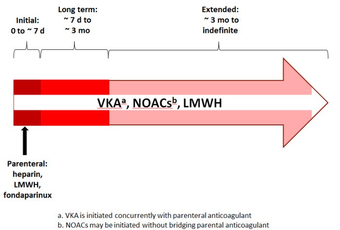 Noac For Lv Thrombus Treatment | semashow.com