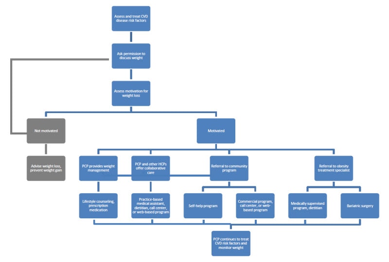 A Case-based Look at Effective Weight-Loss Strategies in Today's World