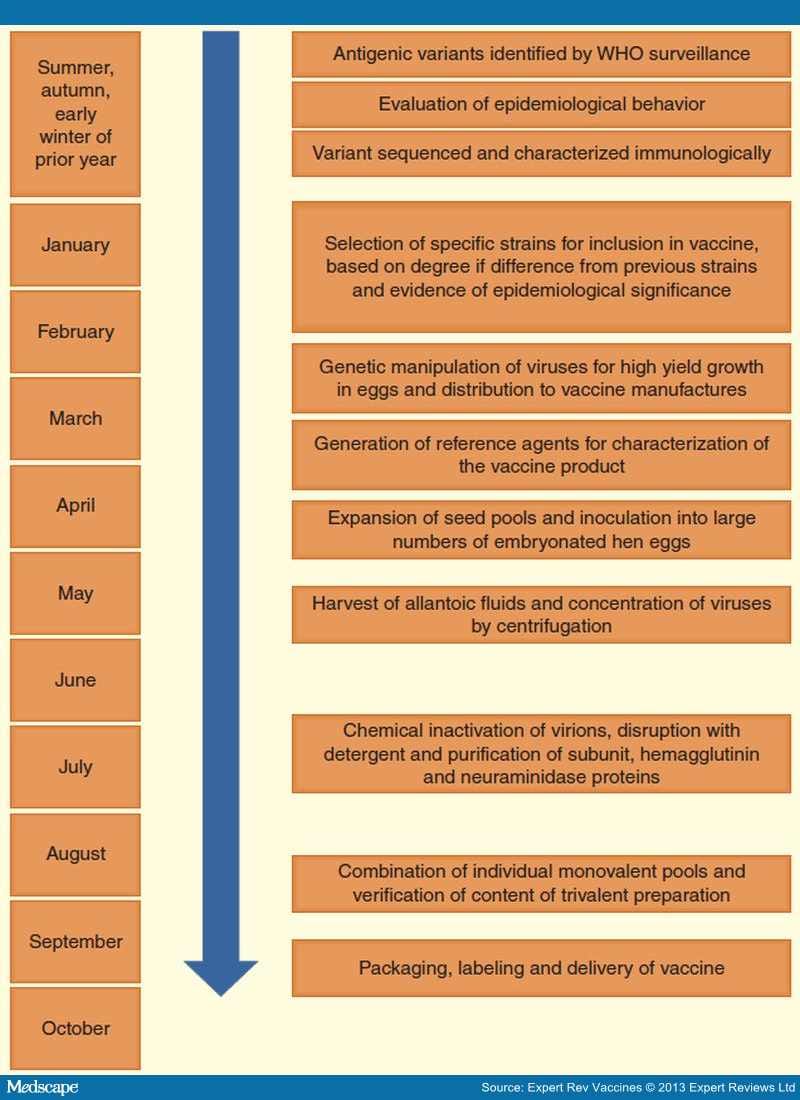 The Evolving History of Influenza Viruses and Vaccines - Page 5