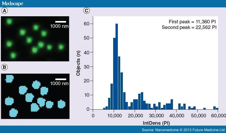 Quantifying Nanoparticle Uptake on a Single Cell Level - Page 3