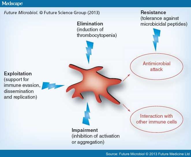 Platelets as Immune Cells in Infectious Diseases - Page 3