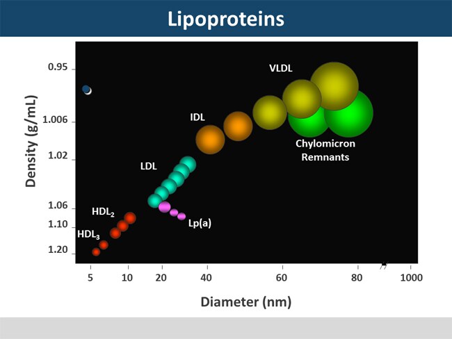 Advanced Lipoprotein Analysis