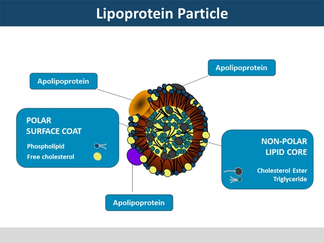 Advanced Lipoprotein Analysis