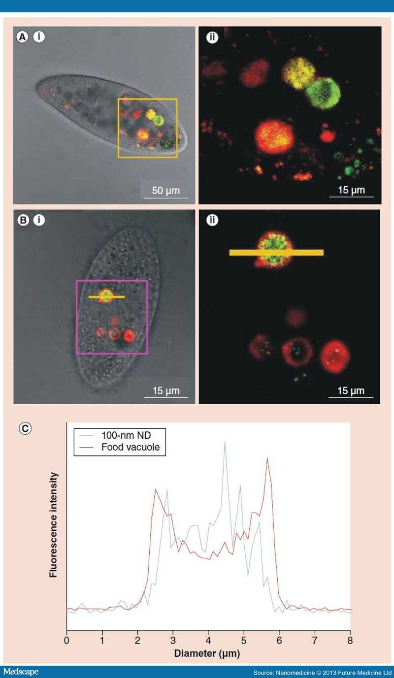 Biomedical Applications of Nanodiamonds: Imaging and Therapy - Page 4