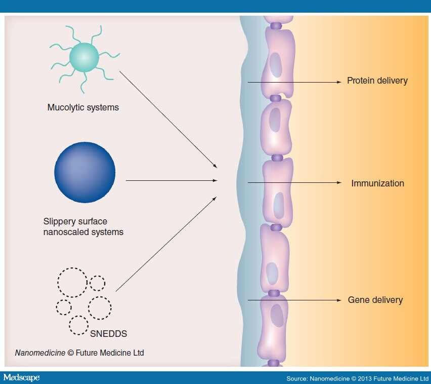 Strategies for Improving Mucosal Drug Delivery - Page 4