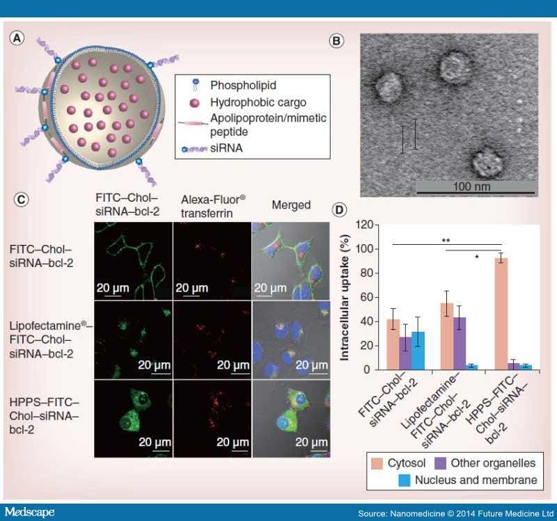 Lipid-Based Nanoparticles in the Systemic Delivery of siRNA - Page 4