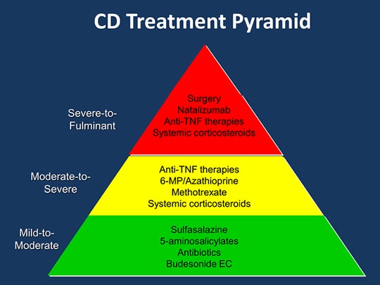 Inflammatory Bowel Disease: Front-line Issues in Diagnosis & Management ...