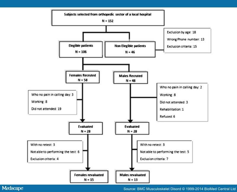Closed Kinetic Chain Upper Extremity Stability Test - Page 3