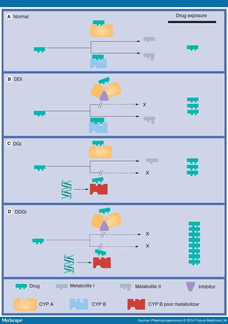 How Common Are Drug and Gene Interactions? - Page 5