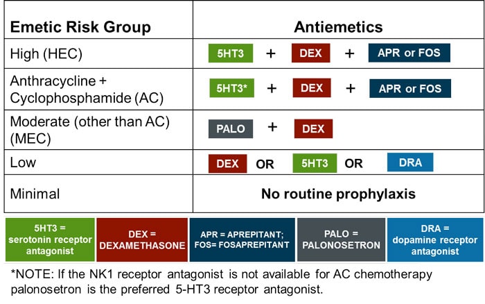 Clinical Cases to Improve Your Skills in Providing Personalized ...
