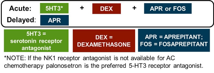 Clinical Cases to Improve Your Skills in Providing Personalized ...