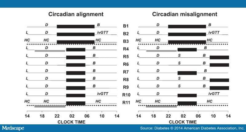 Circadian Misalignment & Markers of Insulin Resistance - Page 2