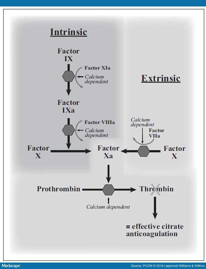 Citrate Anticoagulation and Renal Replacement Therapy in PICU - Page 3