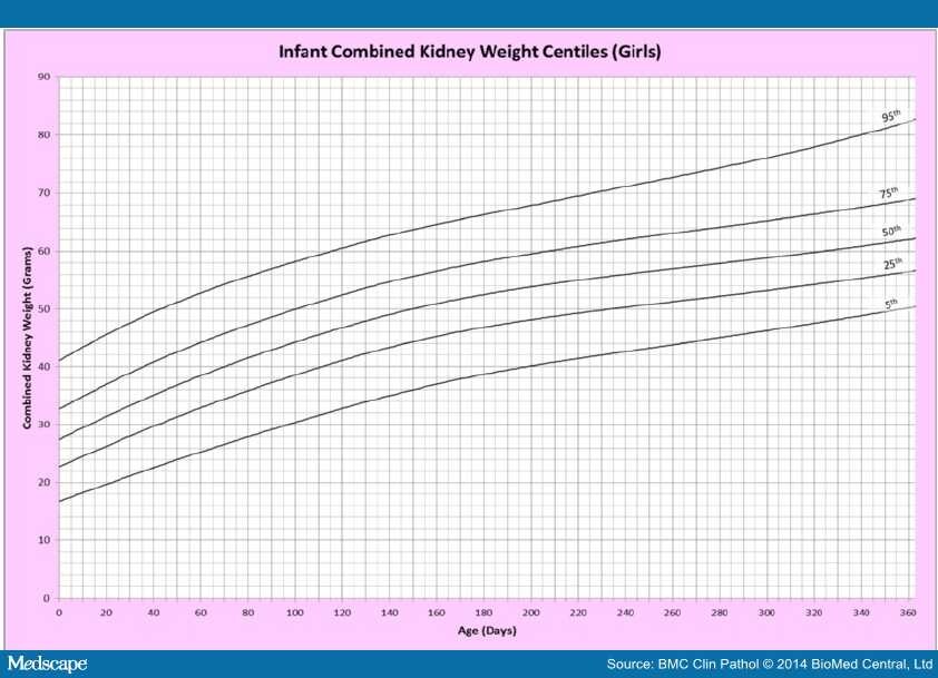 Reference Ranges for Organ Weights of Infants at Autopsy - Page 4