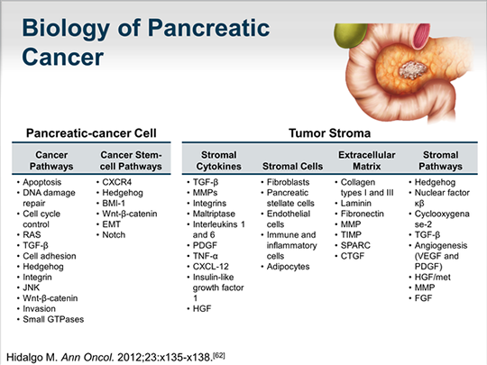 Improving Treatment Outcomes and Sharing Decision Making in Pancreatic ...