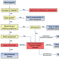 How We Evaluate and Treat Neutropenia in Adults