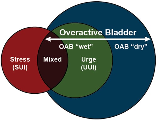 Urinary Incontinence: How Would You Care for These Postmenopausal Patients?