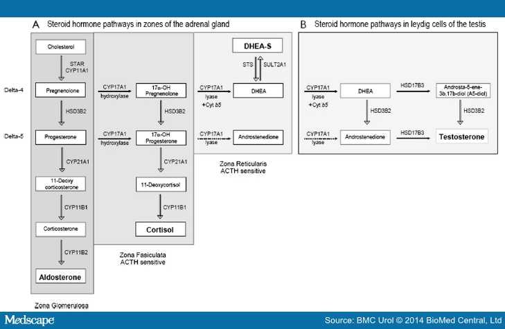 Changing Paradigms in Management of mCRPC