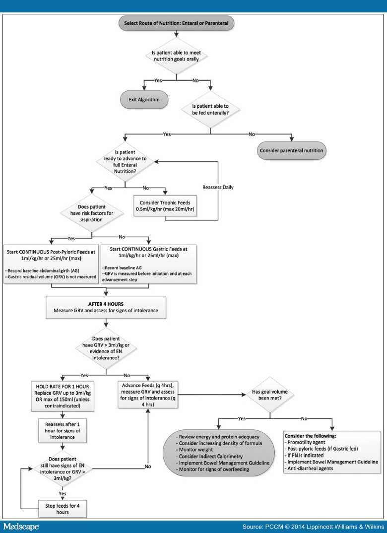 Enteral Nutrition Algorithm for Critically Ill Children - Page 2