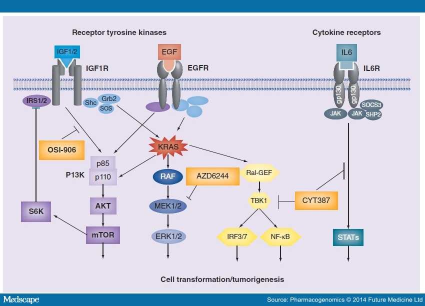 Targeting Pathways Downstream of KRAS in Lung Adenocarcinoma - Page 2