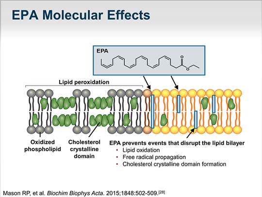 Managing the Lipid Triad: TG-Rich Lipoproteins and the Emerging Role of ...