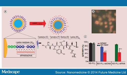 Cancer Theranostics With Gold Nanoshells - Page 6