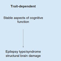 Cognitive Dysfunction in Patients With Epilepsy: Focus on Clinical ...