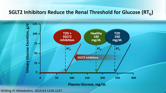 SGLT2 Inhibitors: The Newest Pharmacologic Option for T2D (Transcript)