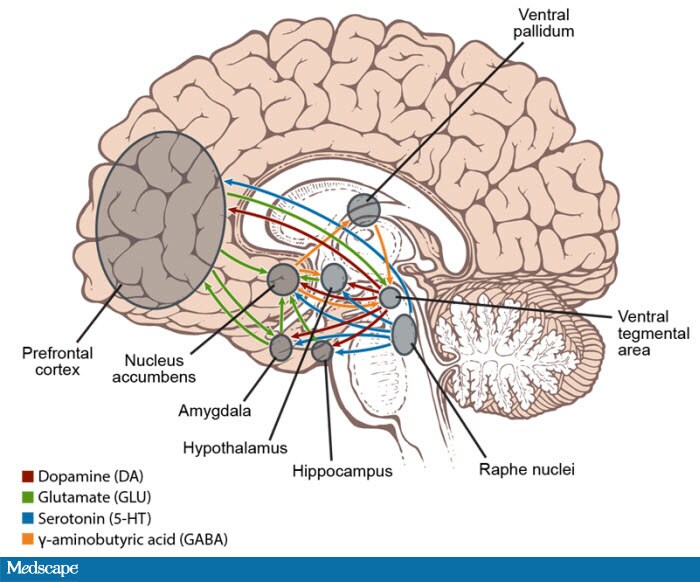 Alcohol Use Disorder: Recognition, Intervention, and Treatment