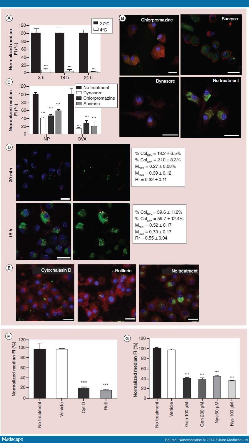 Nanoparticles for Vaccine Delivery to Dendritic Cells - Page 3