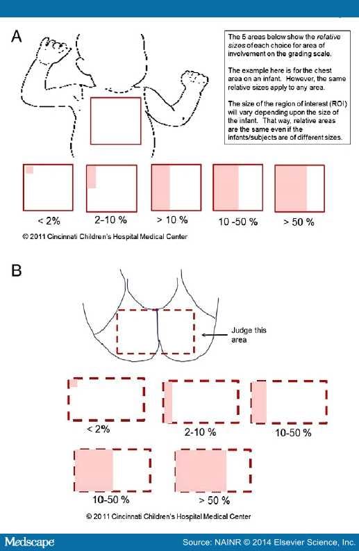 A Practical Method for Rapid Measurement of Skin Condition - Page 7