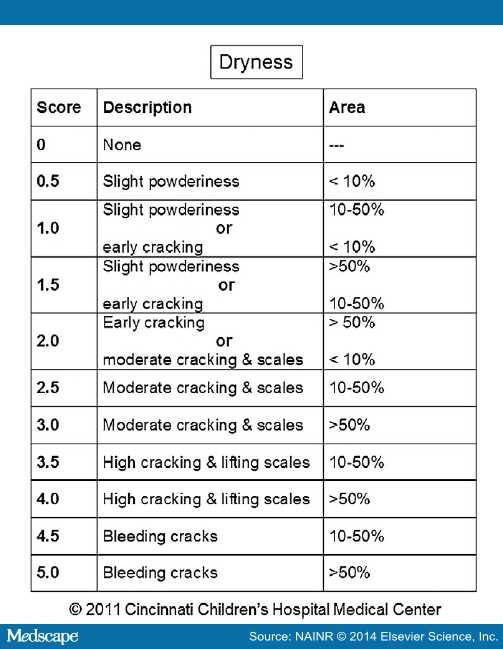 A Practical Method for Rapid Measurement of Skin Condition - Page 10