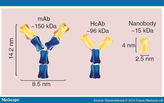 Nanobody-Based Cancer Therapy of Solid Tumors