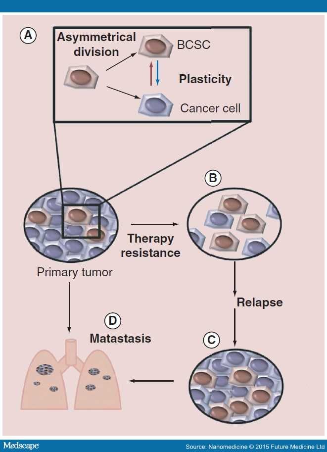 Drug Delivery Using Nanocarriers for Targeting Cancer Cells