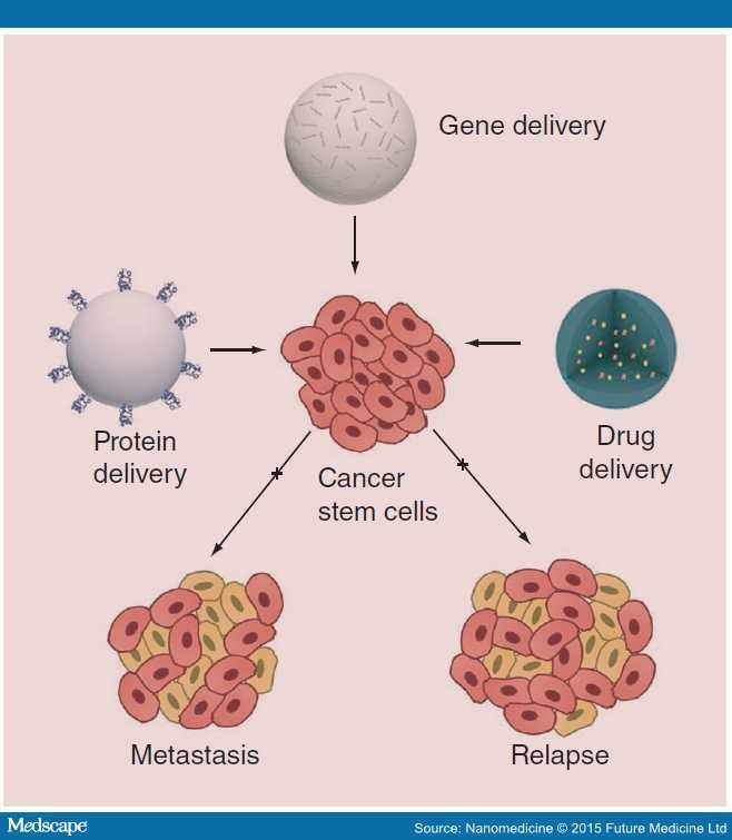 Drug Delivery Using Nanocarriers for Targeting Cancer Cells