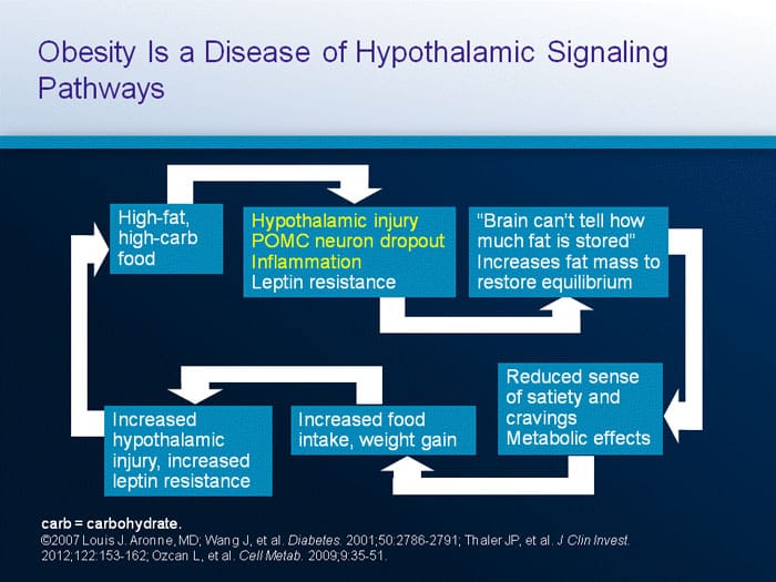Management of Obesity: Strategies for Long-Term Success