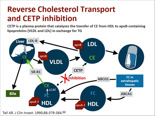 Cholesteryl Ester Transfer Protein Inhibitors: New Targets in Lipid ...