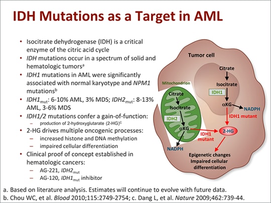 The Role of IDH Inhibitors in Hematologic Malignancies (Transcript)