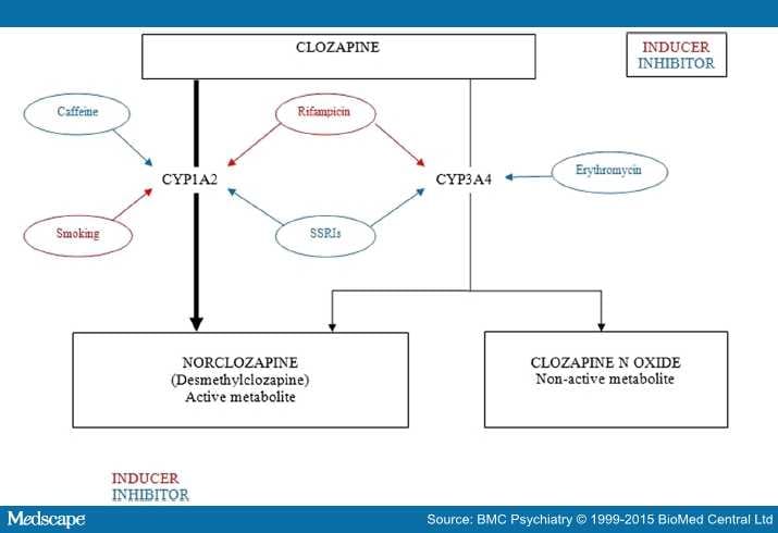 Optimising Levels of Clozapine During Metabolic Interactions - Page 2