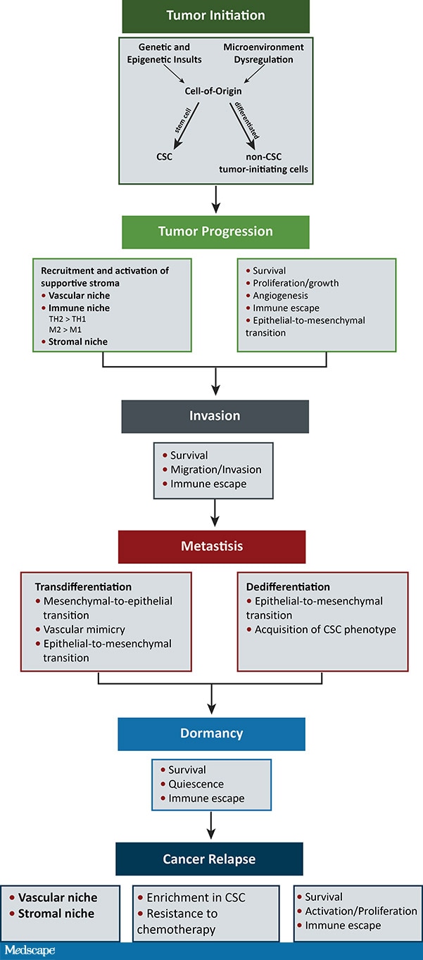Concepts Related to Cancer Stem Cells: What Clinicians Need to Know