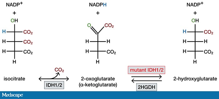 Targeting Cancer Metabolism