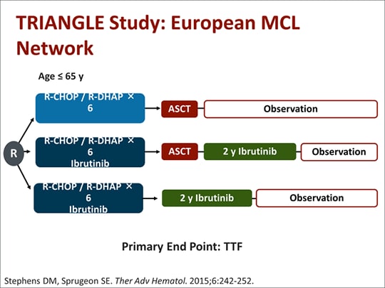 Innovations and Issues in Mantle Cell Lymphoma (Transcript)