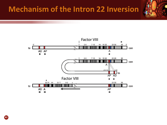 Current Trends in the Management of Hemophilia (Transcript)