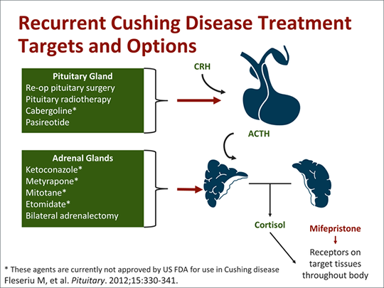 A Multidisciplinary Team Approach: Challenges and Best Practices in ...