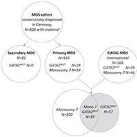 Prevalence, Clinical Characteristics, and Prognosis of GATA2-related ...