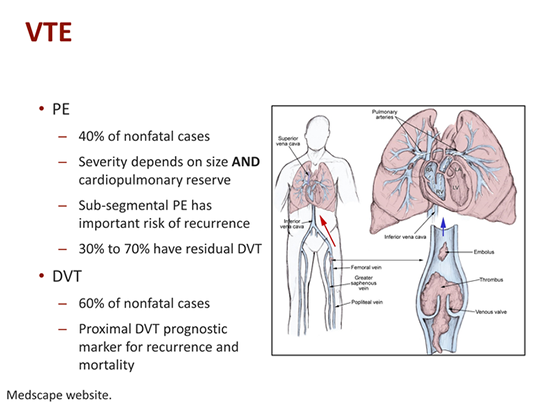 At the Crossroads of Coagulation: Patient with Pulmonary Embolism and ...